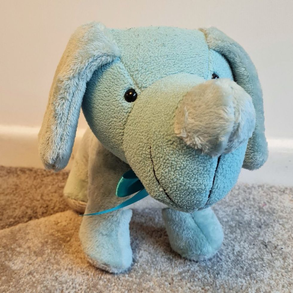 Keepsake Dog Teddy | Infinity Keepsakes | Made From Clothes